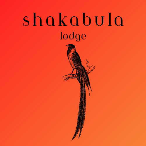 Shakabula Lodge - Accommodation | Hunting | Wedding Venue